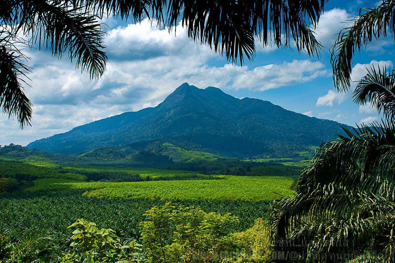 Wisata Gunung Khao Phanom Bencha: Trekking dan Alam Liar - Informasi ...